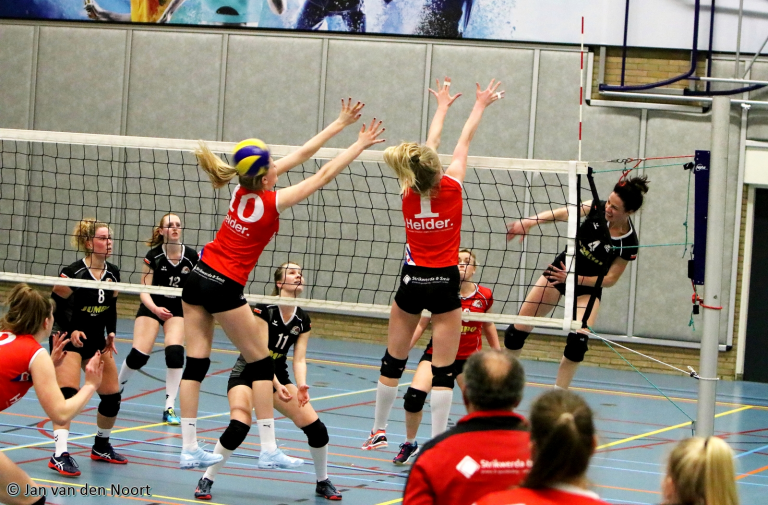 WVC Volley tankt veel vertrouwen met zege | Vizier op volleybal WVC Volley tankt veel vertrouwen met zege | Vizier op volleybal